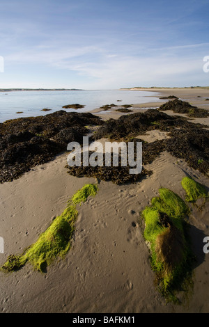 Surf at Saligo Bay, Islay, Scotland Stock Photo - Alamy