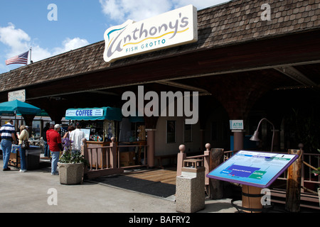anthony's fish grotto and fishette a famous seafood restaurant along ...