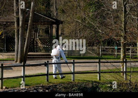 worker spraying herbicides Stock Photo - Alamy