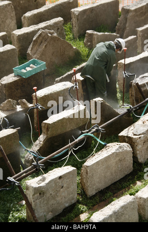 archaeologist cleaning ancient roman relics in the largo argentina ...