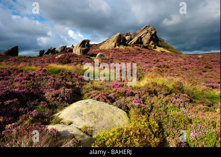 Ramshaw Rocks, Staffordshire Stock Photo - Alamy