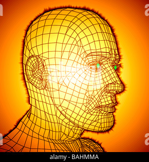 wire frame view of male robot head Stock Photo - Alamy