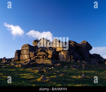 England, South Devon, Dartmoor. Hound guarding entrance to Hayford Hall ...