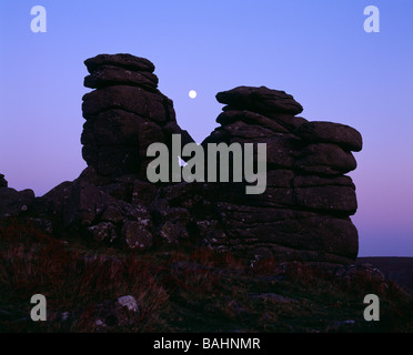 England, South Devon, Dartmoor. Hound guarding entrance to Hayford Hall ...