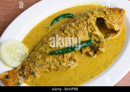 Pulasa Fish Curry