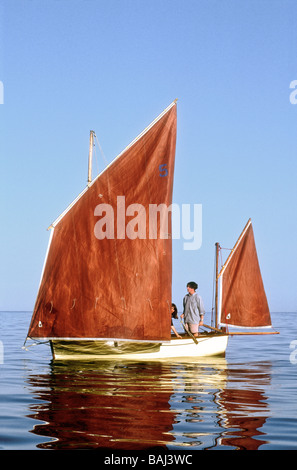 Sailing a Beer lugger boat Devon England UK Europe Stock Photo - Alamy