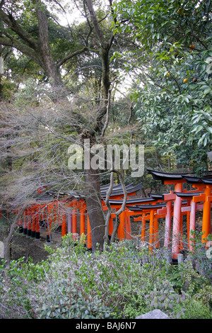 Row of tori gates Stock Photo - Alamy