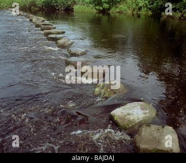 Steps and stepping stones leading across a stream at Alton Towers ...