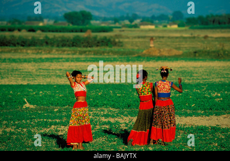 Nepal, Terai Region (Madhesh), Tharu ethnic group, fishermen in rice ...