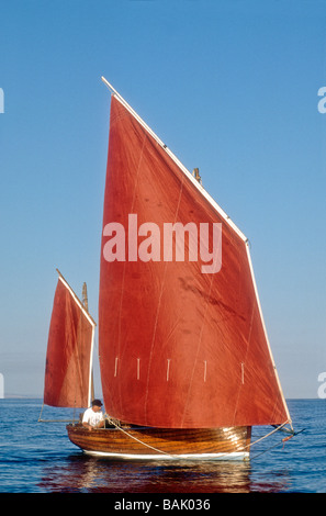 Sailing a Beer lugger boat Devon England UK Europe Stock Photo - Alamy