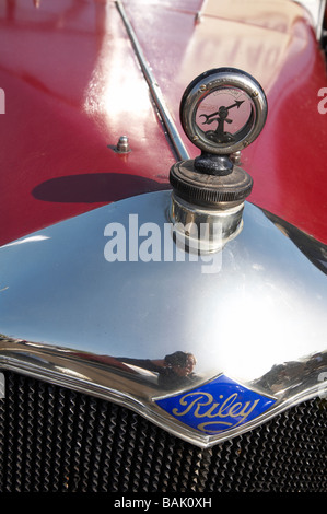 Riley Logo / Badge - Classic Car Stock Photo - Alamy