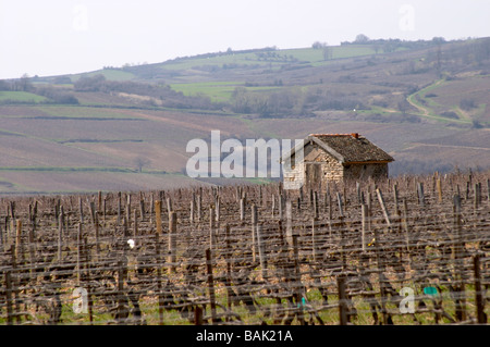 vineyard hut dezize les maranges santenay cote de beaune burgundy ...