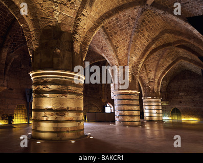 Israel Akko the Hospitaller Fortress the Crusaders underground city ...