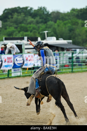 Man on bucking steer at rodeo Stock Photo - Alamy