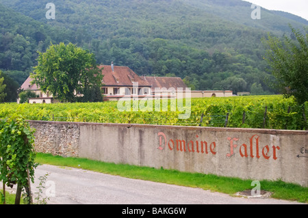 vineyard the winery dom faller weinbach kaysersberg alsace france Stock ...