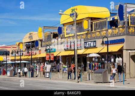 Canada, Ontario Province, Georgian Bay, Wasaga Beach, sign and seagull ...