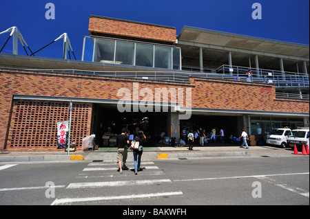 Asia, Japan, Honshu, Yamaguchi prefecture, Iwakuni, aerial view of ...