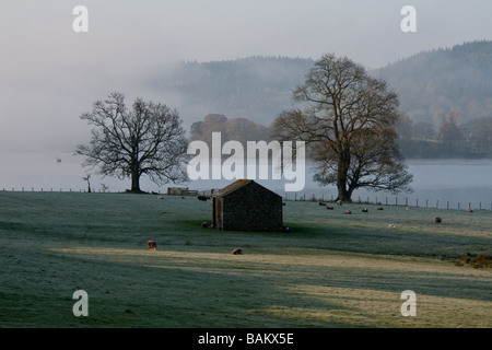 Misty morning Esthwaite Water near Hawkshead the Lake District Cumbria ...