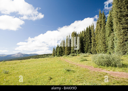 Shrine pass colorado Stock Photo - Alamy