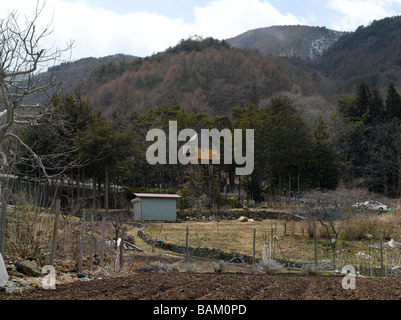 TREE TEA HOUSE, TERUNOBU FUJIMORI, NAGANO, JAPAN Stock Photo - Alamy