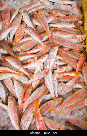 Cretan fish in Hania Crete Greece Europe Stock Photo - Alamy