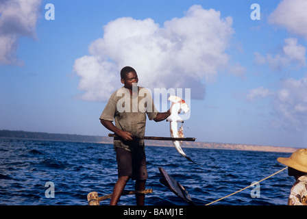Fisherman gaffs Juvenile Hammerhead Shark caught on hand line Inhassoro ...