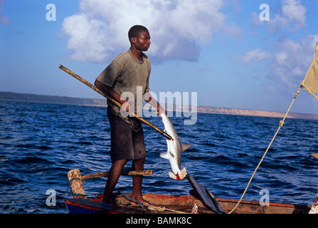 Fisherman gaffs Juvenile Hammerhead Shark caught on hand line Inhassoro ...