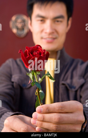 love, red rose, hold, loves, red roses, holds Stock Photo - Alamy