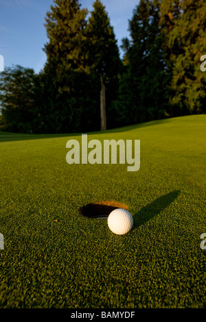 The gimme putt - golf concepts Stock Photo - Alamy