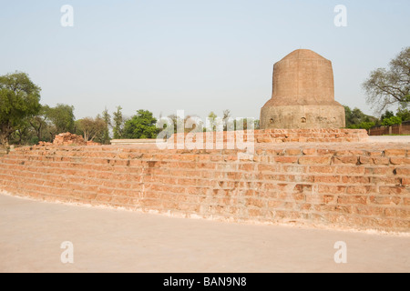 Isipatana deer park Sarnath Uttar Pradesh India Stock Photo - Alamy