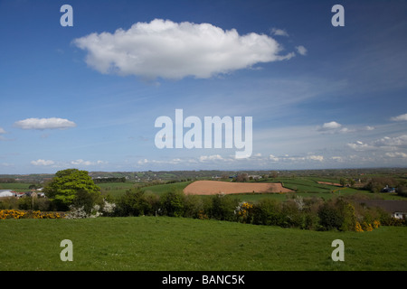 Fields farmland with blue cloudy sky in the evening time. Field in the ...
