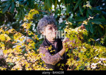 Senior Japanese woman gardening Stock Photo - Alamy