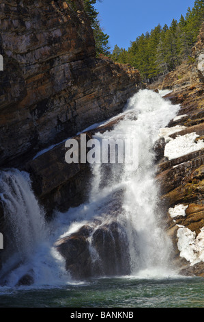Cameron Falls in Waterton National Park Alberta Stock Photo - Alamy