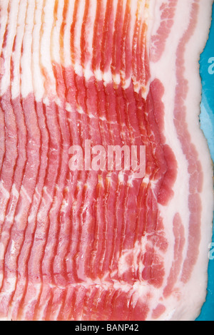 Red raw fatty meat pork loins, shoulder, rack, sirloin, leg cutlets ...