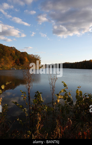 Lake Logan Hocking Hills Ohio in USA US Autumn nature with a bird Heron ...