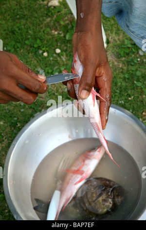 CARIBBEAN MEAL JAMAICA Food meals Stock Photo - Alamy