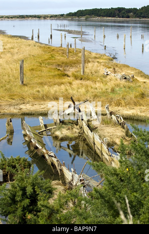 Bandon Marsh NWR, Bandon, Oregon: Bandon National Wildlife Refuge ...