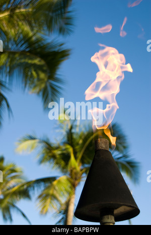 Hawaii fire torches. Beach on the Island of Maui, Aloha Hawaii Stock ...