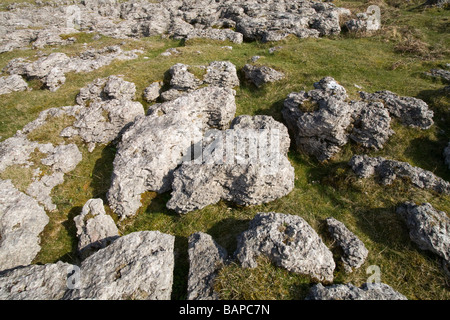 Limestone pavement on top of Knipe Scar, Cumbria, England Stock Photo ...