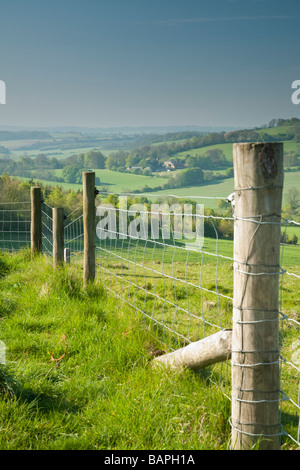 View of the Wayfarers Way path with Coombe Gibbet in the background ...