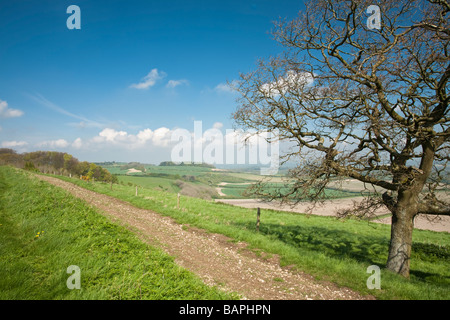 View from the Wayfarers Way path over West Berkshire from between the ...