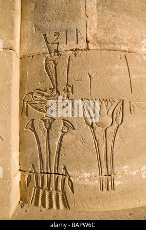 Unfinished border on wall of Roman Bath house at Dendera Temple, Nile ...
