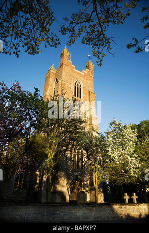 All Saints Church, Cottenham, Cambridgeshire, England, UK Stock Photo ...