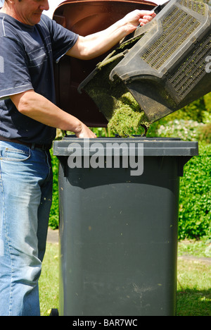 Grass Clipping into garden waste bin Stock Photo - Alamy