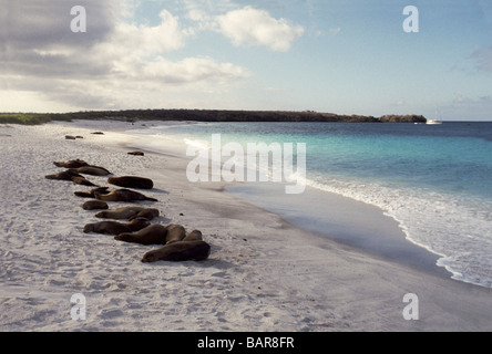Galapagos Islands, Ecuador. Isla Gardner just off Isla Española ...