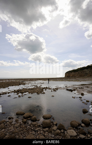 Pett level beach near Fairlight Wood, Hastings and Battle East Sussex ...