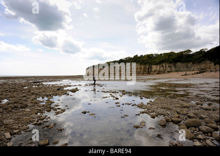 Pett level beach near Fairlight Wood, Hastings and Battle East Sussex ...