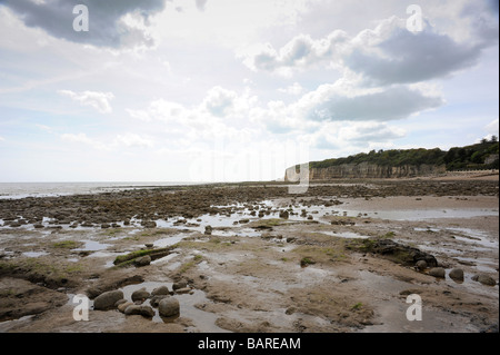 Pett level beach near Fairlight Wood, Hastings and Battle East Sussex ...