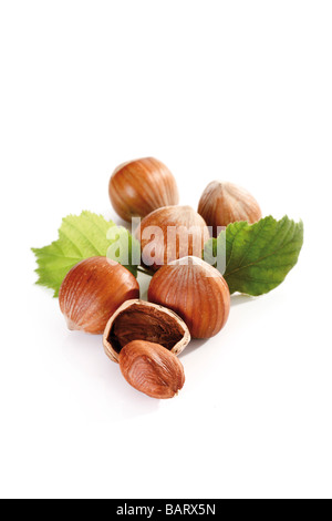 Fresh hazelnuts without shell Stock Photo - Alamy