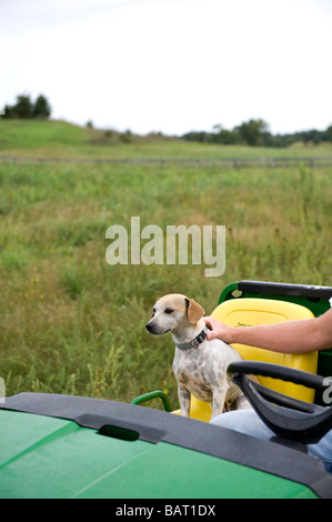 loving pet dog with owner in clinic, adorable woman came with son and ...